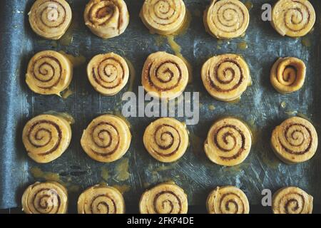 Blanks for baking cinnamon rolls on baking sheet with parchment paper ...