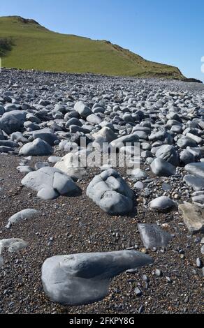 Beach with pebbles,rocks and stacked limestone strata in Ceredigion ...