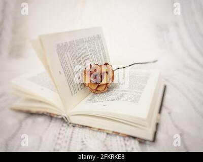 Closeup shot of an open book with beads and a beautiful dried flower ...