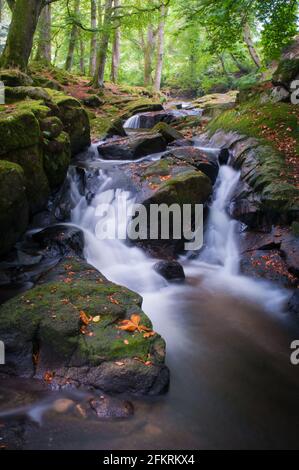 Cloghleagh River County Wicklow Ireland autumn fall color colour ...
