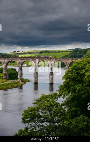 Class 66 66716 diesel locomotive named 'Willsden Traincare Centre ...