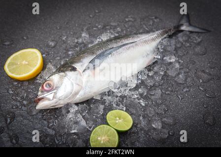 mackerel scad, Fish on ice for cooking food in the restaurant, Fresh ...