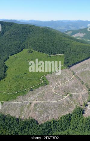 Aerial photo of clear cut logging, Vancouver Island, British Columbia ...