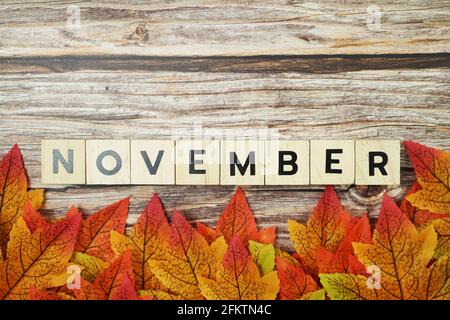 November alphabet letter with maple leaves frame on wooden background ...