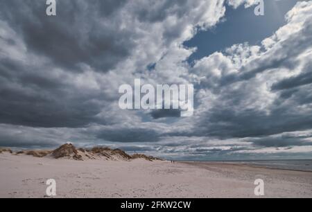 Dunes on Skallingen at the North Sea in rural western Denmark Stock ...