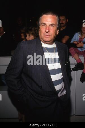 Danny Aiello Circa 1980's Credit: Ralph Dominguez/MediaPunch Stock ...