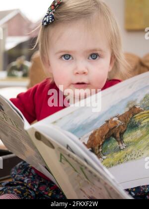 reading, learning, preschool, read, reading a book, reading something ...