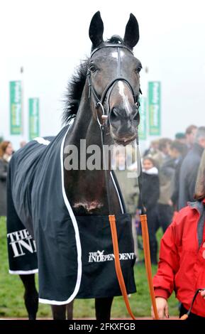 RACING AT CHELTENHAM. THE INDEPENDENT NEWSPAPER NOVICES CHASE. 16/11 ...