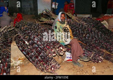 Rana Caste ( Rena, Rona, Kumar, Kumbhakar ) tribal couple arranging ...