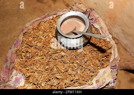 Finger millet, Ragi seed, Nachni, Madua, Natural Health food Stock ...