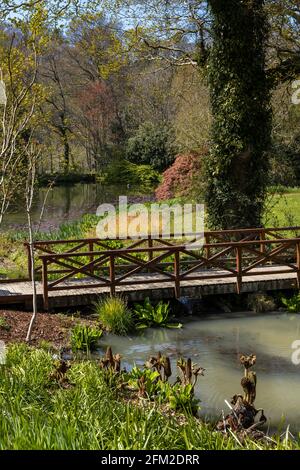 RHS Rosemoor Gardens, North Devon in Spring sunshine Stock Photo - Alamy