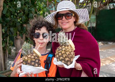 Pina Colada street vendor and tourists, Varadero, Cuba, year 2017 Stock ...