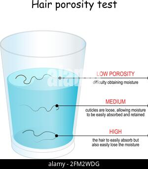 Hair porosity water float test infographics poster Stock Vector Image ...