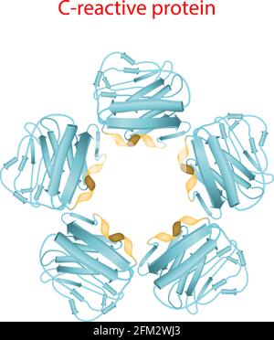 C-Reactive protein (CRP) blood test results envelope. Medical ...