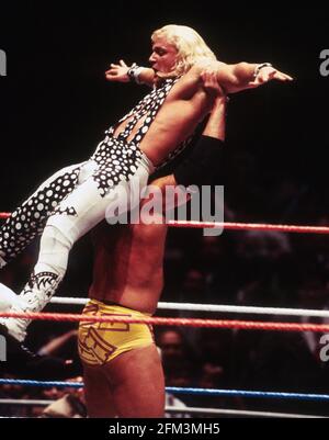 1995 Jeff Jarrett John Barrett/PHOTOlink Stock Photo - Alamy