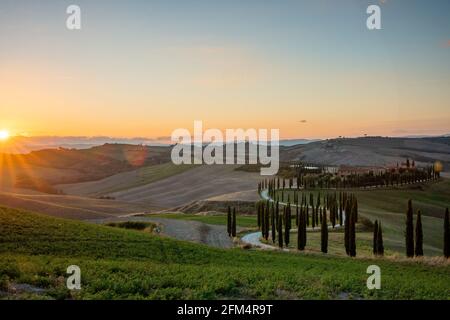 A wellknown Tuscan landscape with grain fields, cypresses and houses in ...