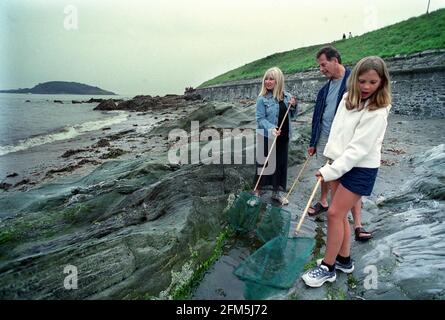 Rock pools on the beach at Looe in Cornwall Stock Photo - Alamy