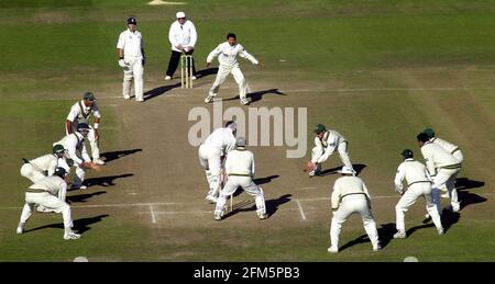 PICTURE DAVID ASHDOWN HOGGARD AND TEAM AFTER TAKING THE WICKET OF HINDS ...