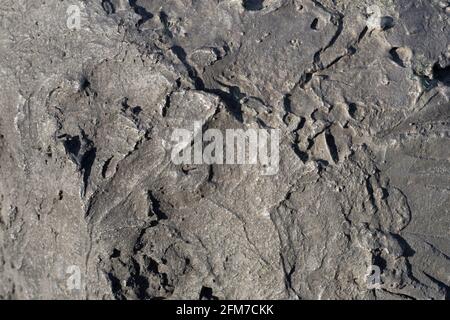 grey stone texture useful as a background Stock Photo - Alamy
