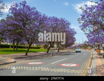 The road to Abha city, Saudi Arabia Stock Photo - Alamy