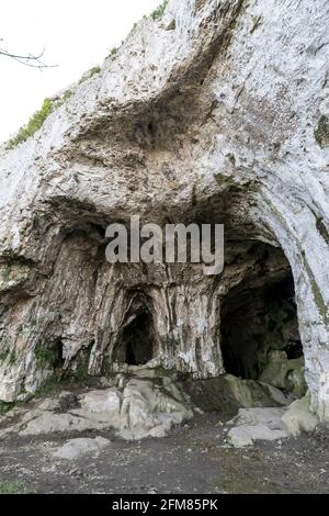 The hillside of Cefn-yr-Ogof or back of the cave at Llanddulas on the ...