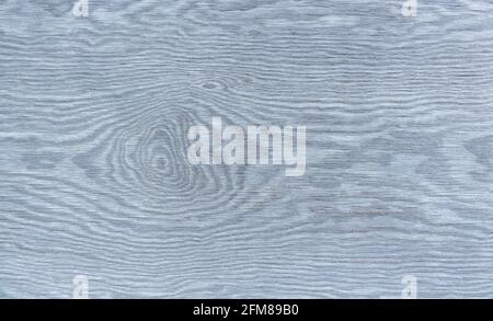 Horizontal close-up of a bright blue Veronica flower spike with white ...