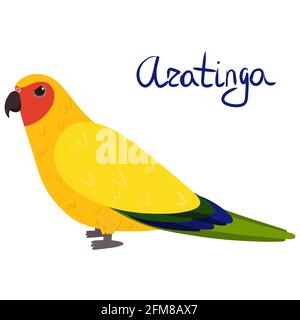Cartoon Sun Conure Parrot on White Background Stock Vector Image & Art ...