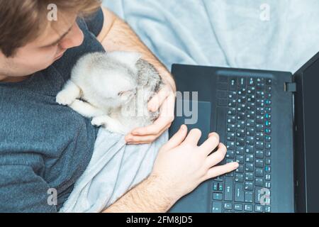 Young man with kitten working at his laptop. The concept of online ...