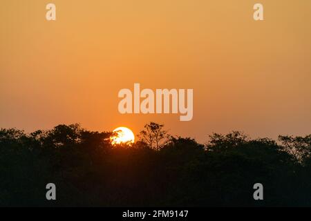 Sunset in the Jungle in the Chitwan National Park, Nepal Stock Photo ...