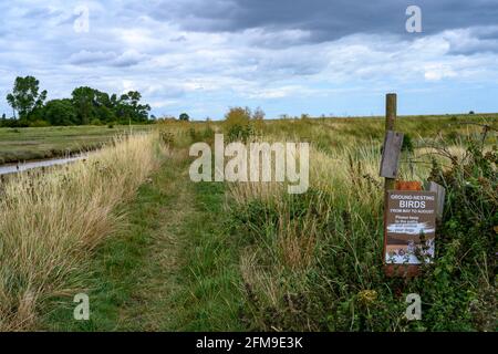 Birds nesting at Shingle Street sign Stock Photo - Alamy