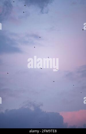 Powerline colorful of sky and clouds background Stock Photo - Alamy