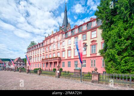 Erbach Castle, Schlossplatz, house facade, Erbach, Odenwald, Hesssen ...