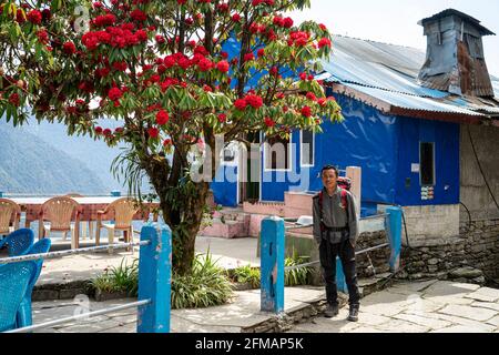 Nepalese Guest House Stock Photo - Alamy