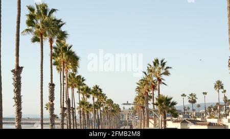 Palm tree perspective in Oceanside, California waterfront pacific ocean ...