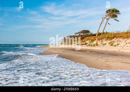 Stormy day by Baltic sea Stock Photo - Alamy