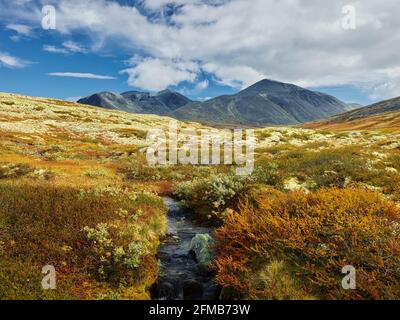 Rondslottet, Storronden, Rondane National Park, Oppland, Norway Stock ...