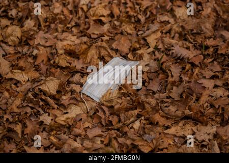 Carelessly disposed of surgical mask in the forest in the Corona ...