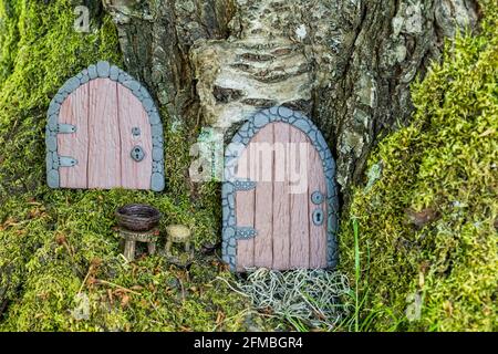 small doors made of polymer clay on cherry tree like a fairy house ...