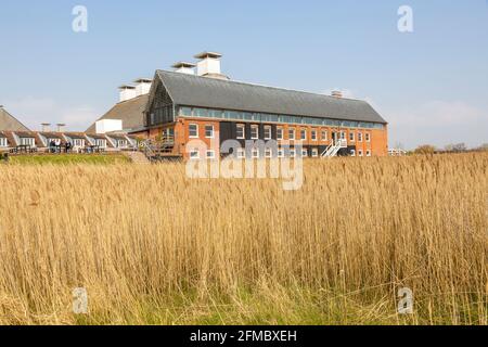 The reeds at Snape Maltings Suffolk Stock Photo - Alamy