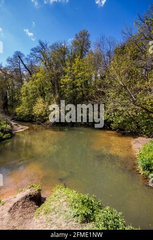 Polo at Cowdray Park, near Midhurst Stock Photo - Alamy