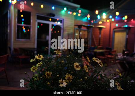 This is a photograph of the patio at Agave mexican restaurant in ...