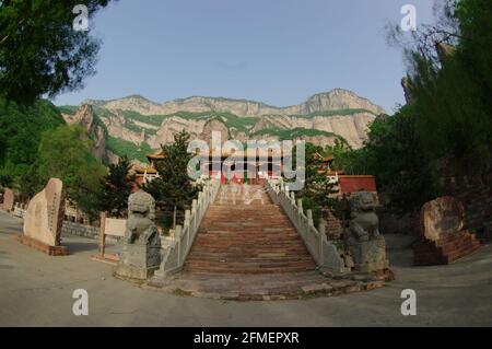 Chinese Camphor Rock Stock Photo - Alamy
