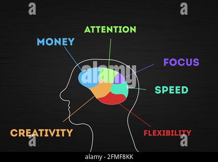 Colorful Human Body Chart Stock Photo - Alamy