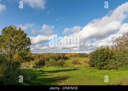 Waterford Heath Community Nature Park Stock Photo - Alamy