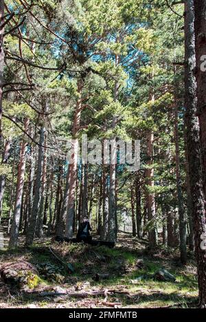 adult woman hiking with mask Stock Photo - Alamy