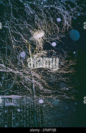 Night shot featuring a singular light fixture or a lamp Stock Photo - Alamy