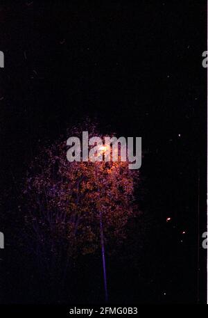 Night shot featuring a singular light fixture or a lamp Stock Photo - Alamy