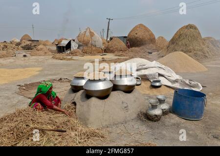 kishoreganj, Bangladesh - May 02, 2021: Bangladeshi farmers boiling of ...