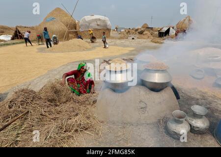 kishoreganj, Bangladesh - May 02, 2021: Bangladeshi farmers boiling of ...