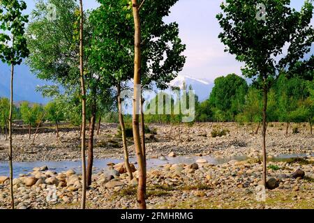 View of Lidder river valley in Pahalgam, Jammu and Kashmir, India Stock ...